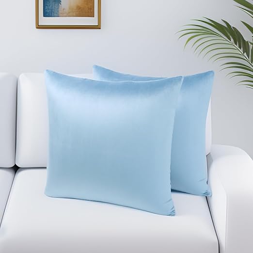 Amazon.com: QUORGVES Light Blue Velvet Throw Pillow Covers 16x16 Inch ...