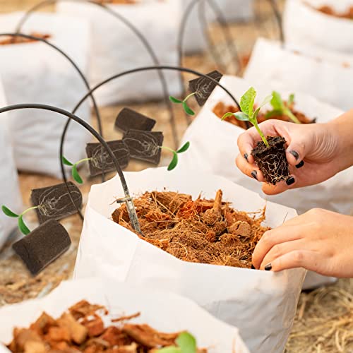 Amyhill Hydroponic Sponges Grow Starter Pods Organic Growth Sponge ...