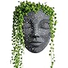Amazon.com : Bossa Linda Wall Planter | Head Planter with Hook ...