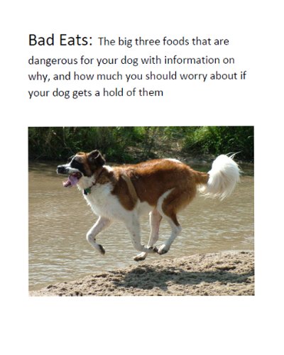 Amazon.com: Bad Eats: Foods that are dangerous for your dog eBook ...