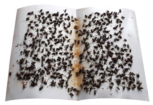 Palakkaran Fly Trap Glue Pad, Fly Killer, Furit Fly Trap,Fly Catcher ...
