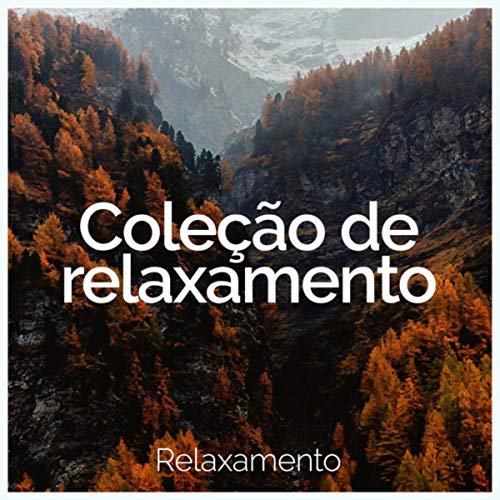 Amazon.com: Coleção de relaxamento : Relaxamento: Digital Music
