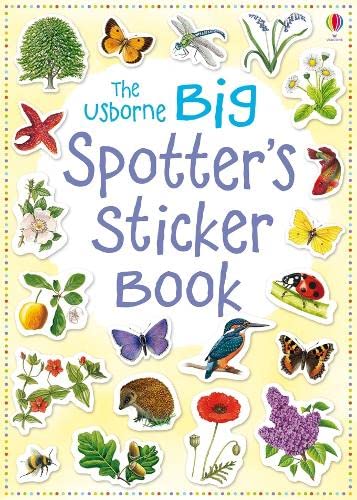 Big Spotter's Sticker Book (Usborne Spotter's Guides) (Spotter's ...