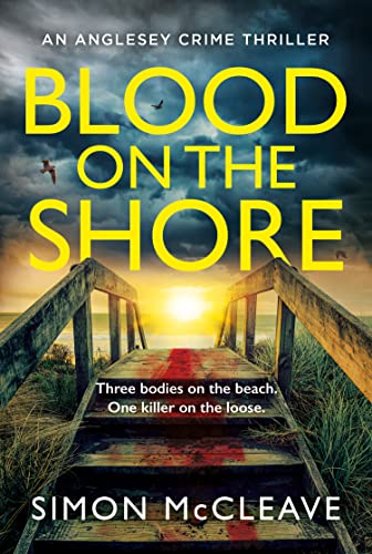 Blood on the Shore: The brand new, pulse-pounding serial killer crime ...