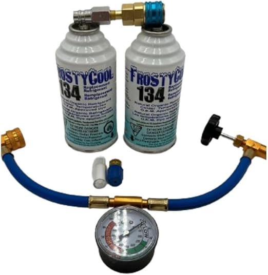 R134a and R12 Replacement A/C Refrigerant Recharge Kit with 1234 Hose ...