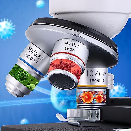 Misoterm Microscopio binoculare 40X-2000X - ConsiglioPro.it