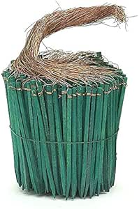 Amazon.com | Wired Wood Picks 6" Package of 750 Picks in Green ...