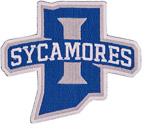 Amazon.com: Desert Cactus American University Patch AU Eagles ...