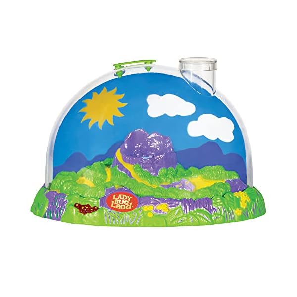 Insect Lore Ladybug Land | Ladybug Growing Kit Habitat | Redeem Voucher ...