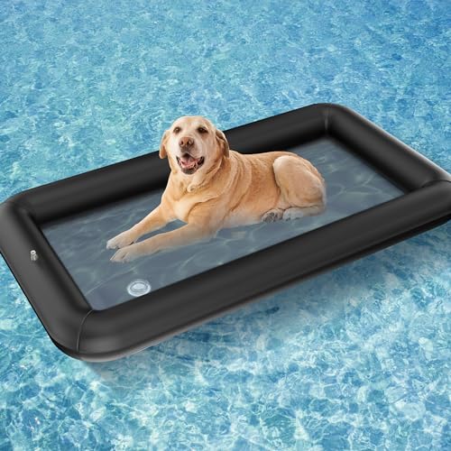 Dog Pool Float – The 15 best products compared - Wild Explained