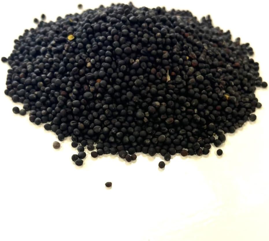 Winter (Hairy) Vetch Seed 200g Green Manure Winter Hardy SLMH : Amazon ...