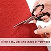 Amazon.com: HOMBYS 450 GSM Extra Thick 3x10 ft Red Carpet Runner for ...