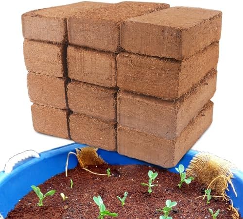 Amazon.com : Bloom Bound Coconut Coir Large Brick 10lb - OMRI Listed ...
