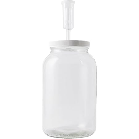 Amazon.com: Jillmo Fermentation Jar, 2 Liter Fermentation Kit with ...