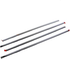 Amazon.com: LDBKTAX Door Molding Set of 4 Chrome Body Mount with ...