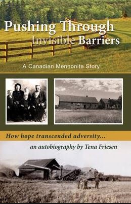Amazon.fr - Pushing Through Invisible Barriers : A Canadian Me - Livres