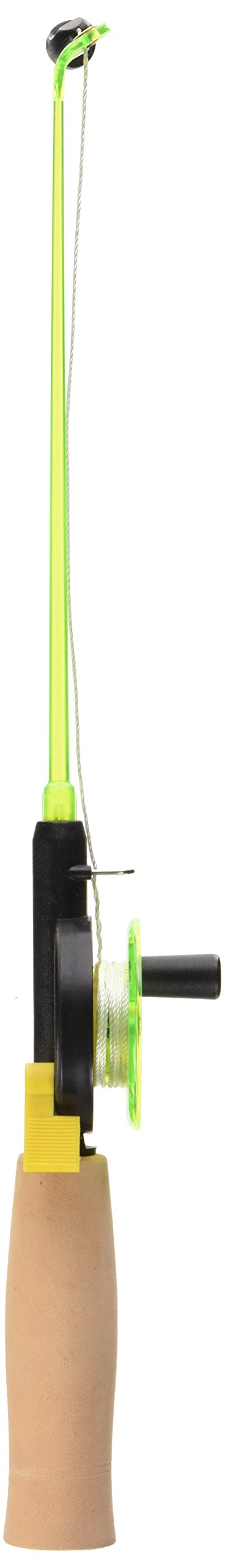 Amazon.com : OurPet's Go Fish Cat Fishing Pole Toy with Catnip Fish ...