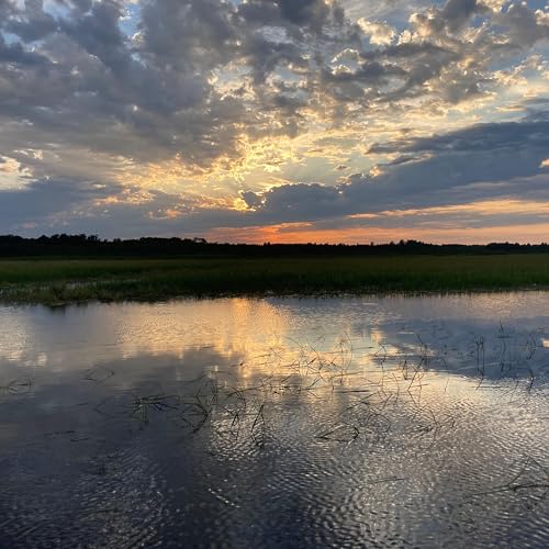 Amazon.co.jp: Conception [Explicit] : Emblade: デジタルミュージック