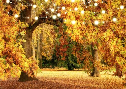 Amazon.com : LYCGS 7X5ft Fall Backdrop Autumn Backdrops for Photography ...