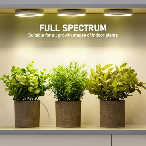 Avkast Ceiling Grow Light for Indoor Plants, 144 LEDs Full Spectrum ...