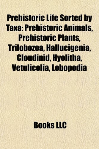 Prehistoric Life Sorted By Taxa Prehistoric Animals Prehistoric Plants ...