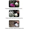 Amazon.com : SOLO 418 2 Liter One-Hand Pressure Sprayer, Red and White ...