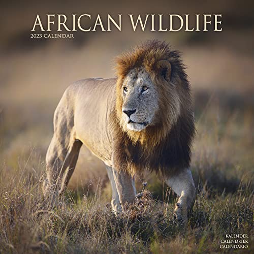 Top 25 Best Wildlife Calendars 2023 - CalendarBuy.com
