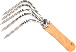 Amazon.com: WHAMVOX Oyster and Crab Rakes Beach Combing Tool Stainless ...