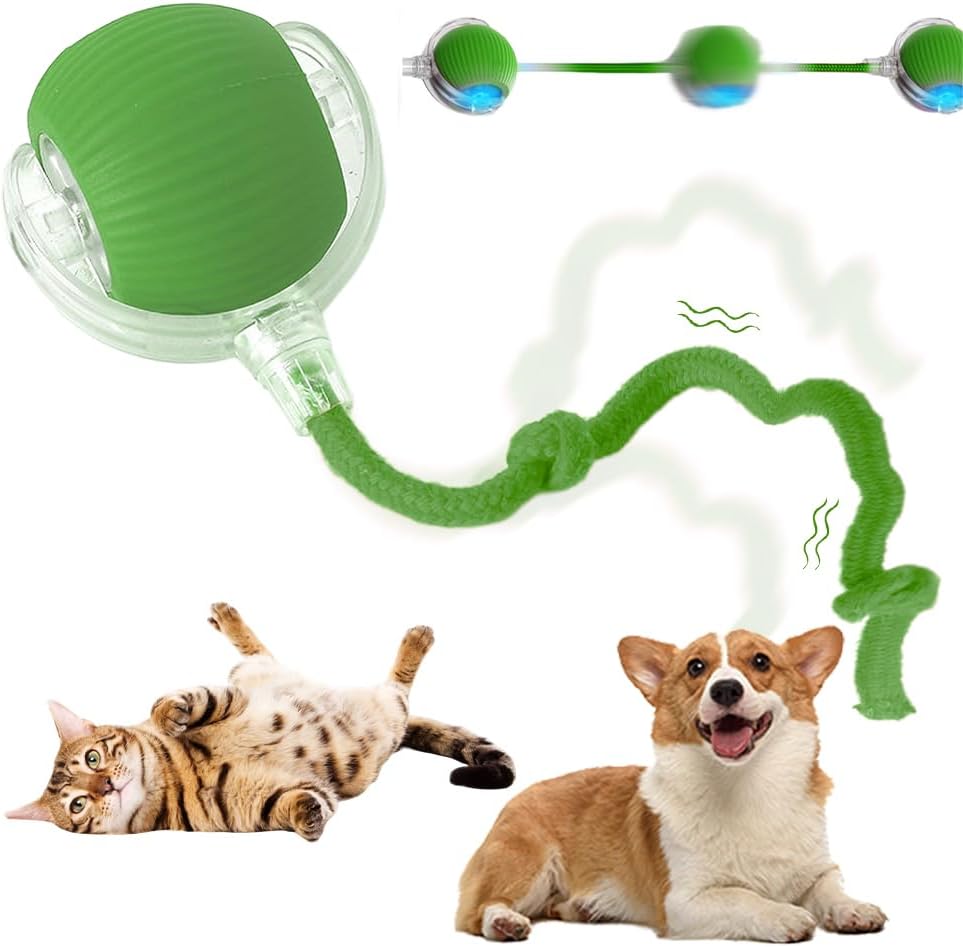 Interactive Rolling Cat Dog Ball, 2025 Upgraded Automatic Cat Ball Dog ...
