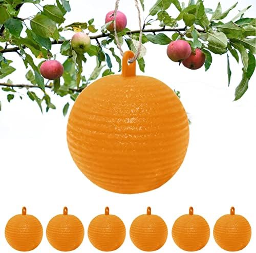Amazon.com : osseph Fruit Fly Traps Ball Sticky Traps Ball, 6 PCS Gnat ...