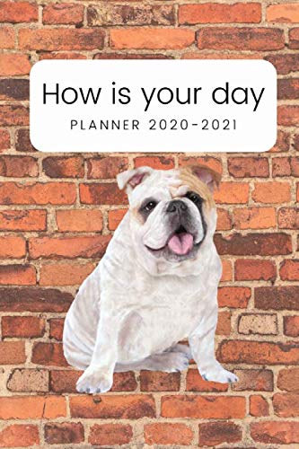Amazon.com: HOW IS YOUR DAY PLANNER 2020-2021: Bulldog Dogs Lovers ...