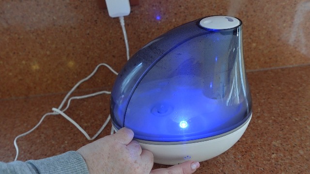 Watch Little Humidifier With Big Results on Amazon Live