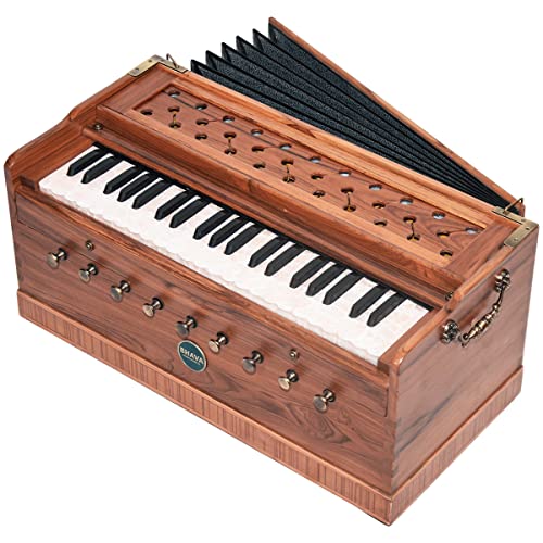 10 Best Harmoniums | 2024