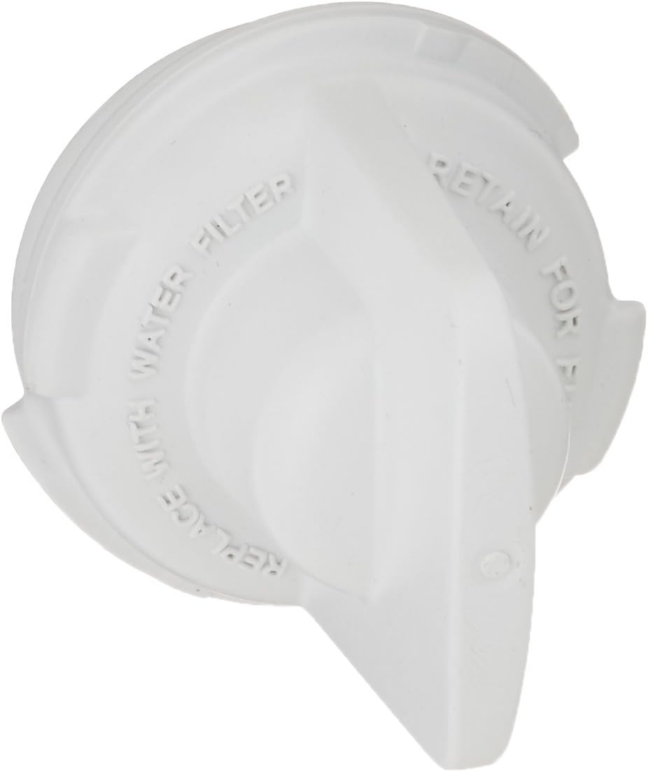 Amazon.com: Ge WR01X29059 Water Filter Bypass Plug Genuine Original ...