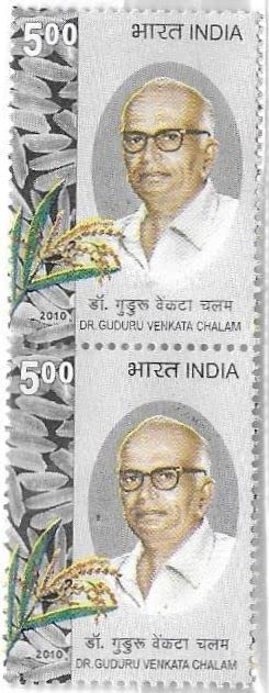 India 2010 DR Guduru Venkata Chalam Pair Stamps MNH # G : Amazon.in ...
