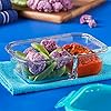 Amazon.com: Pyrex Mealbox 10-Pc Bento Box Set, 2.3-Cup Divided Glass ...