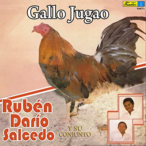 Amazon.com: Gallo Jugao : Rubén Darío Salcedo: Digital Music