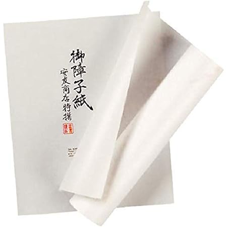 Amazon.com : Wenzhou Chinese Rice Paper Roll 27 inch (69cm) Wide x 11 ...