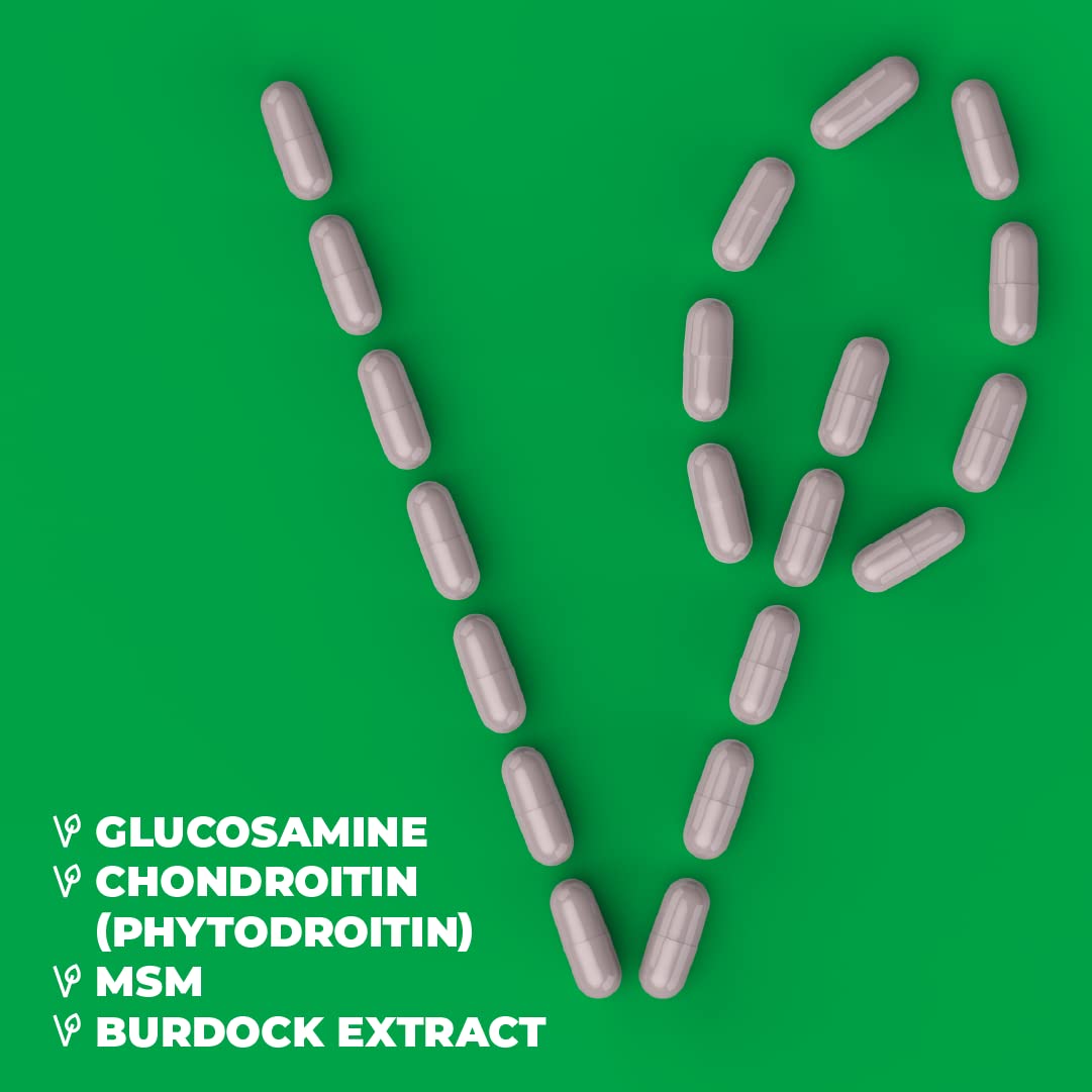 Snapklik.com : Vegan Glucosamine Chondroitin, Phytodroitin MSM ...
