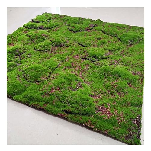 Mooswand Lebend – Die 15 besten Produkte im Vergleich - Hausbauberater ...