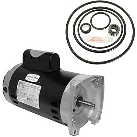 Puri Tech Replacement Motor Kit for Sta-Rite Dyna-Glas 1HP MPRA6E147L ...