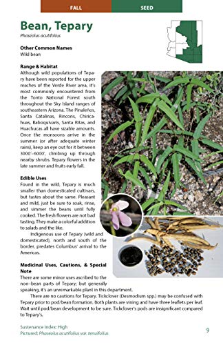Snapklik.com : Wild Edible Plants Of Arizona