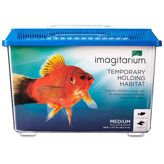 Hospital Tank for Betta: Best Safehouse for Your Betta - Animals Log