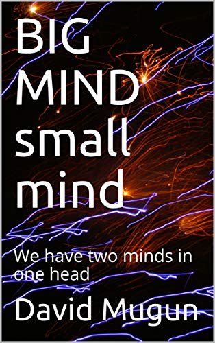 BIG MIND small mind: We have two minds in one head - Kindle edition by ...