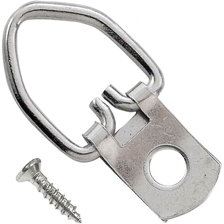 Amazon.com: 100 Heavy Duty Single Hole D Ring / Triangle Strap Hanger w ...