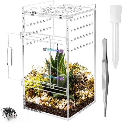 Amazon.com : ZhaoYao Jumping Spider Enclosure, 3x3x6 Inch Jumping ...