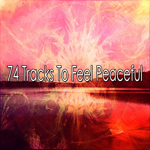 Play 74 Tracks to Feel Peaceful by Pro Sounds Effects Library on Amazon ...
