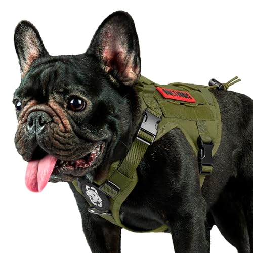 Frenchie Harness – The 15 best products compared - Wild Explained
