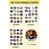 Amazon.com: Teacher Reward Stickers for Classroom - 300 Pcs Funny Meme ...