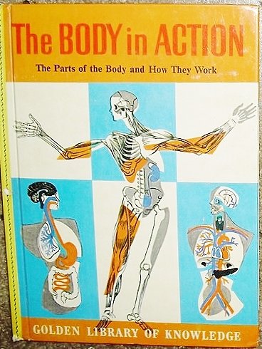 The body in action;: The parts of the body and how: Books - Amazon.ca